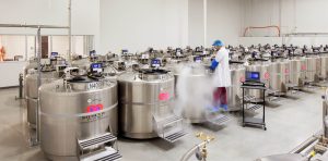 StemCyte - Ware Malcomb